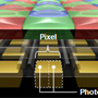 Canon Professional eXchange