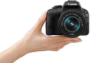 Light and Compact Body